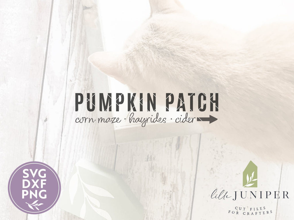 Pumpkin Patch SVG | Fall SVG | Farmhouse Sign Design - So Fontsy