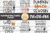 Pumpkin Spice Bundle - Fall SVG PNG DXF Cut Files - So Fontsy
