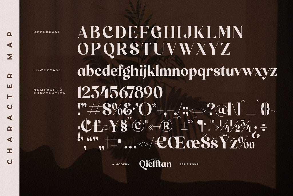 Qielftan Typeface - So Fontsy