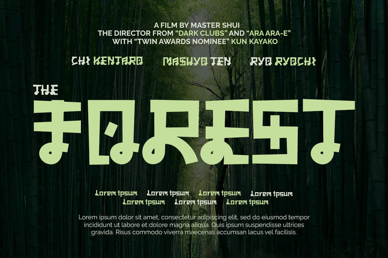 QOROSHI - Japanese style font - So Fontsy