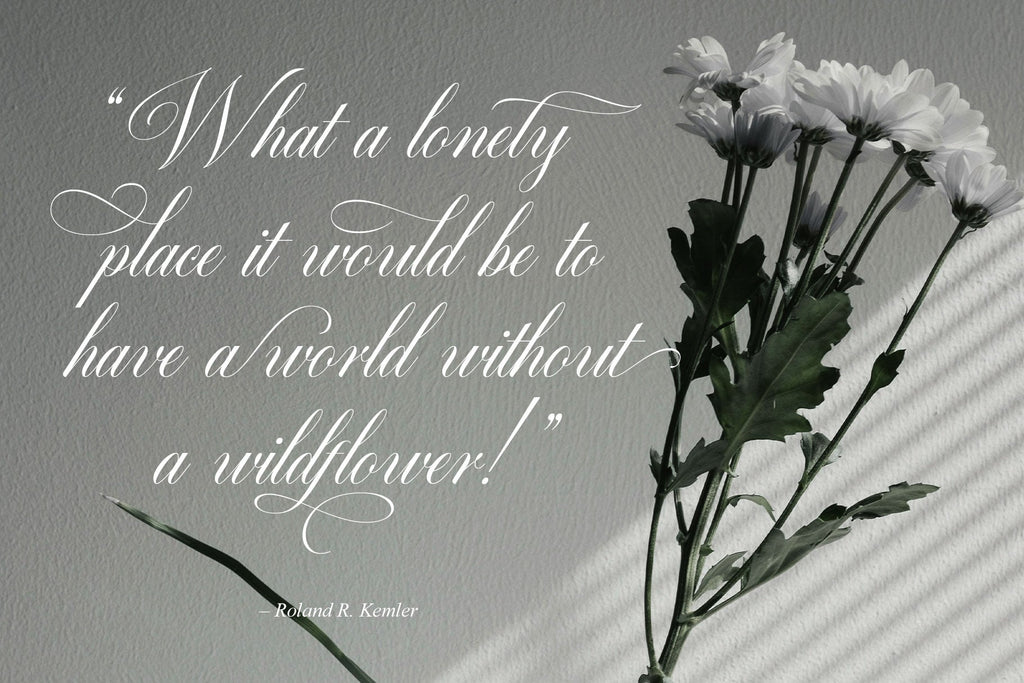 Quadrian - Elegant Script - So Fontsy