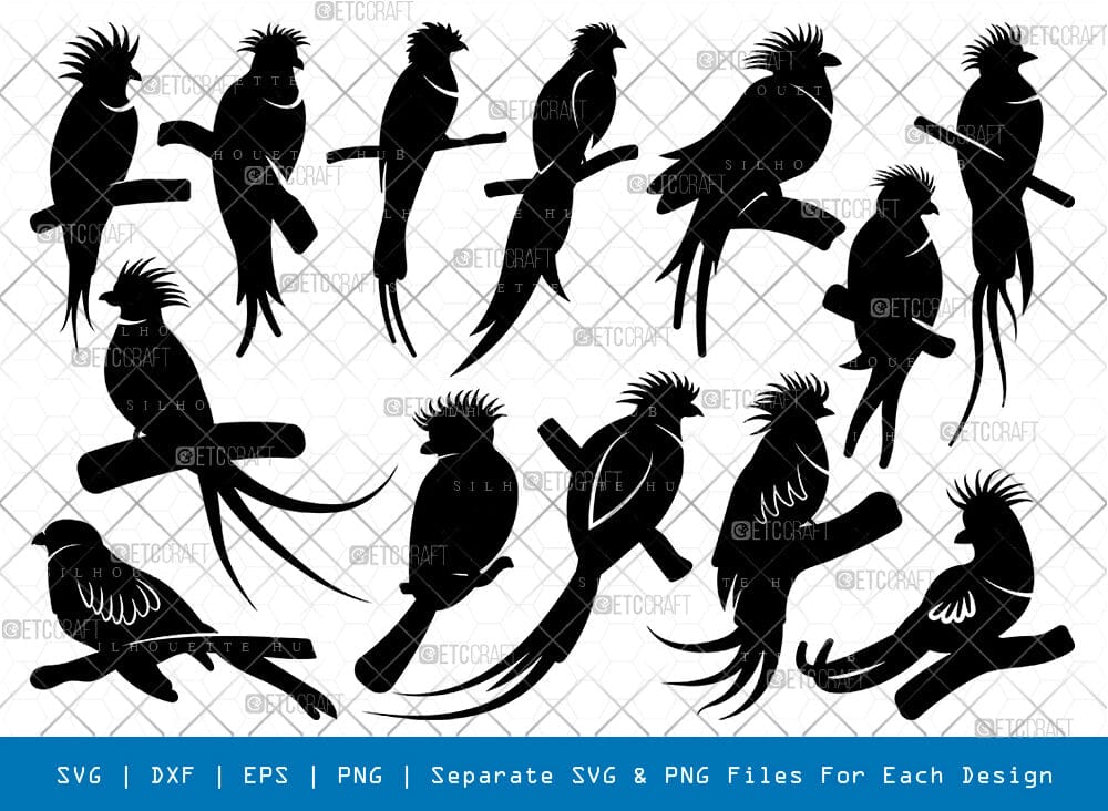 Quetzal Bird Silhouette, Quetzal Bird SVG, Bird Svg, Pet Bird Svg ...