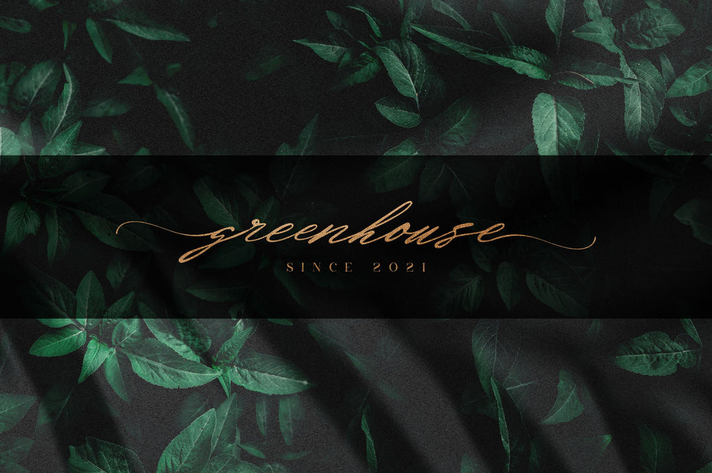 Radian Horizon Handwritten Script - So Fontsy