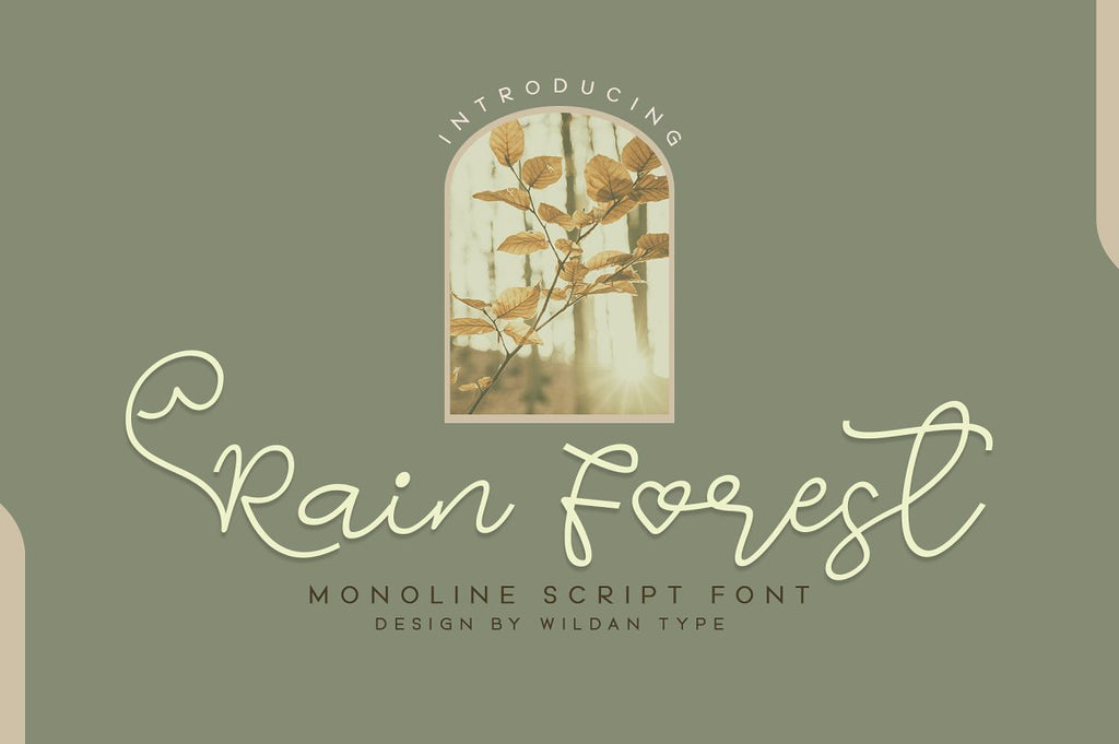 Rain Forest - So Fontsy