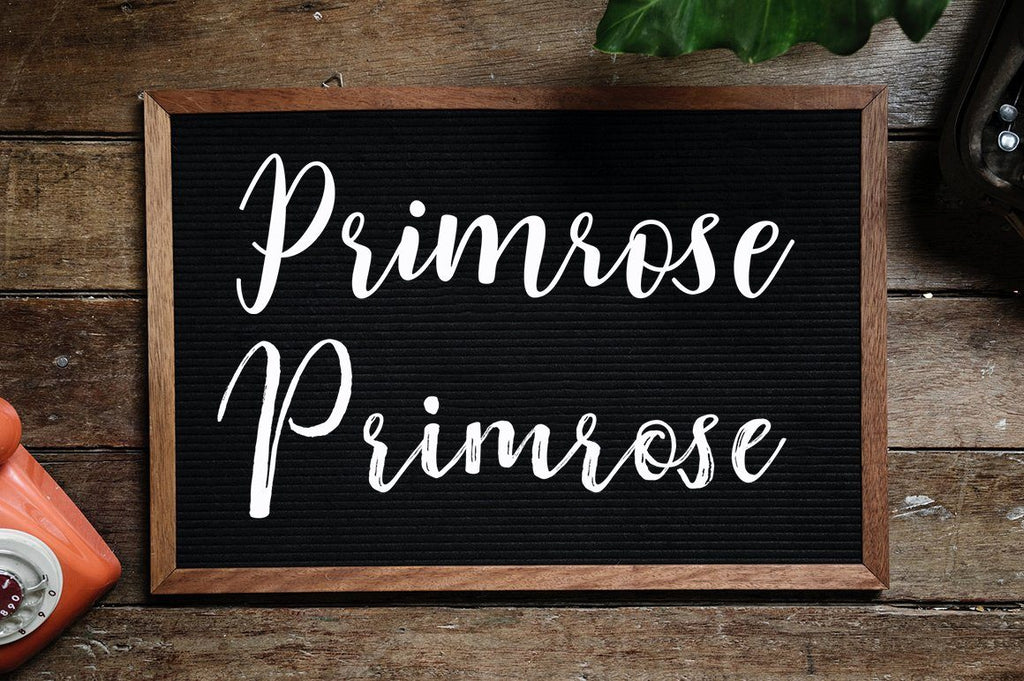 Raspberry Font Duo - So Fontsy