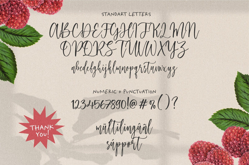 Raspberry Smash Modern Calligraphy Font - So Fontsy