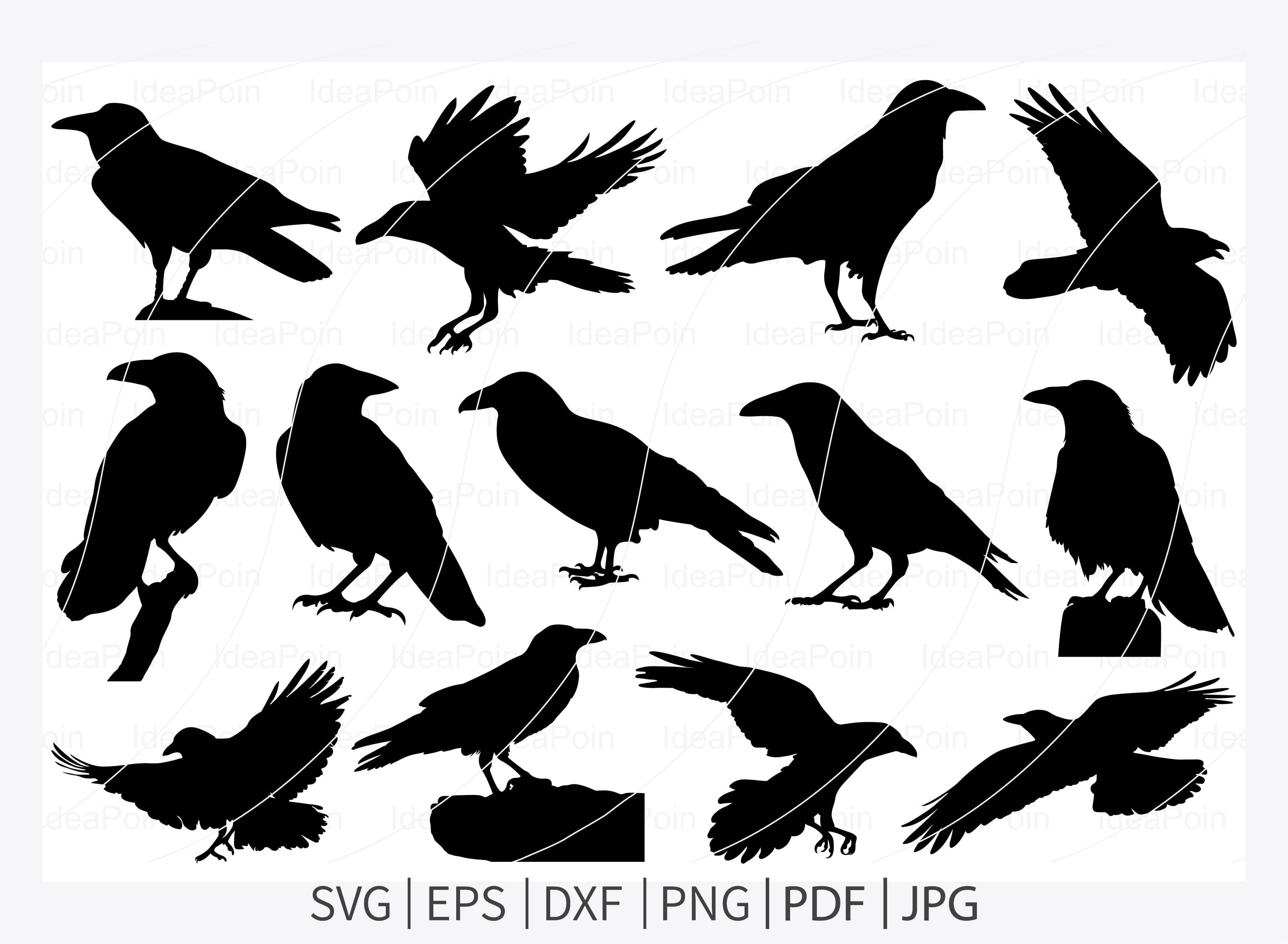Raven Clip Art