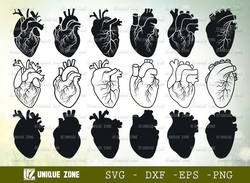 Realistic Heart SVG Bundle | Anatomical Heart Svg | Real Human Heart ...