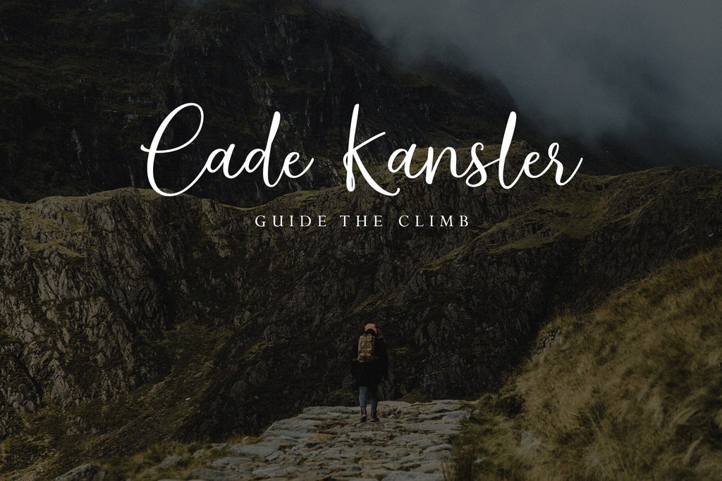 Relaxing Script - So Fontsy