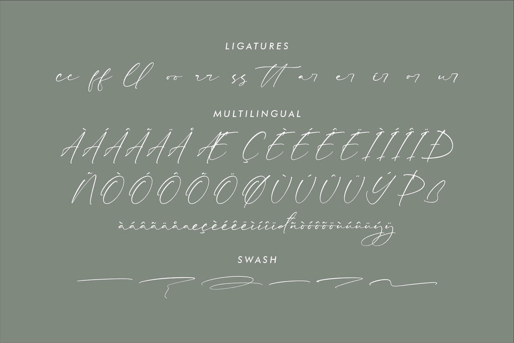 Rhastela Greams - Modern Signature Font - So Fontsy