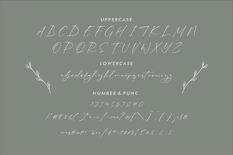 Rhastela Greams - Modern Signature Font - So Fontsy