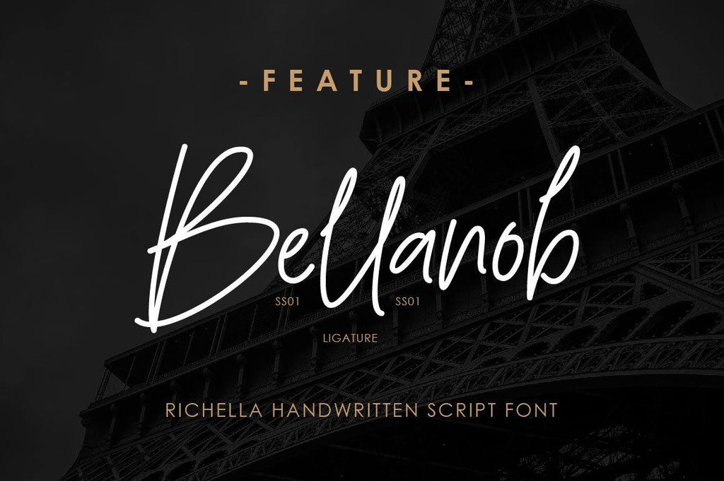 Richella Handwritten Script Font | So Fontsy