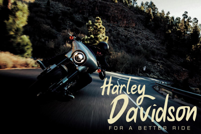 Riding for Monday - So Fontsy