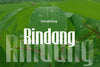 Rindang - So Fontsy