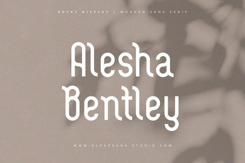 Rocky Display - Modern Sans Serif Font - So Fontsy