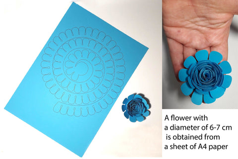 Rolled Paper Flower Templates SVG, 3D Rose SVG - So Fontsy