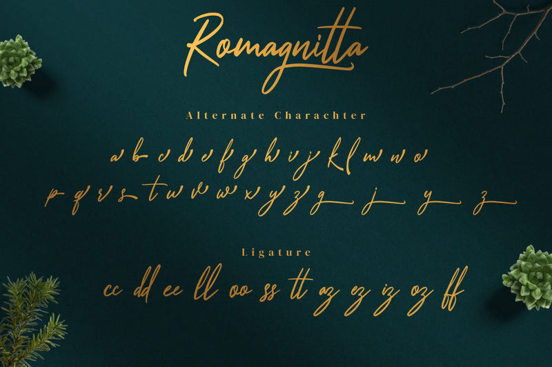 Romagnitta - Signature Font - So Fontsy