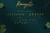 Romagnitta - Signature Font - So Fontsy