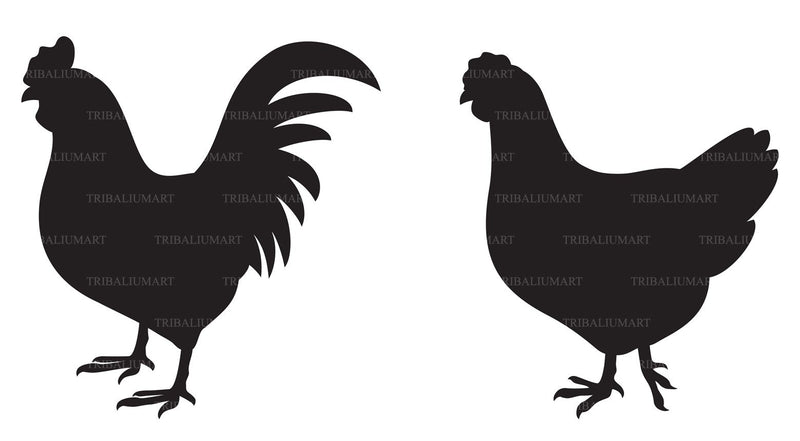 Rooster and chicken. Cut files for Cricut, Clip Art silhouettes (eps ...