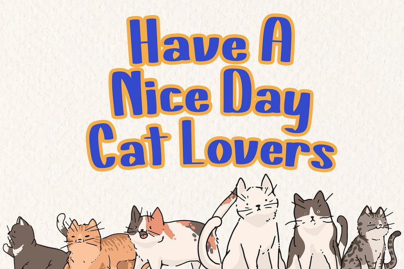 Rox Display - Playful Display Font - So Fontsy