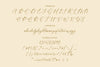 Rumaysa Chambert Luxury Script - So Fontsy