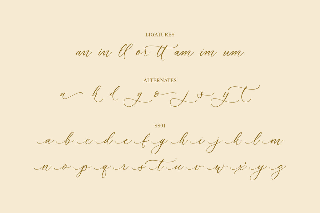 Rumaysa Chambert Luxury Script - So Fontsy