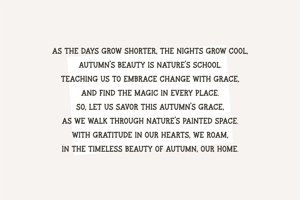 Rustic Spruce Serif Handwriting - So Fontsy