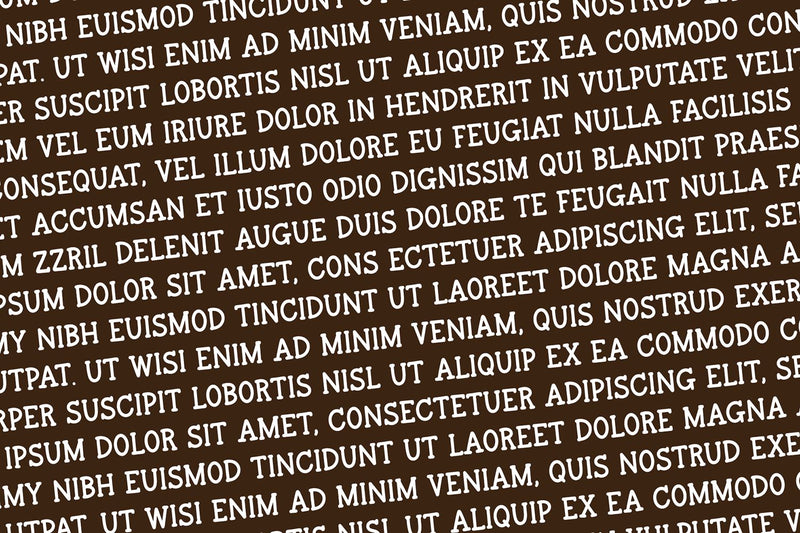 Rustic Spruce Serif Handwriting - So Fontsy