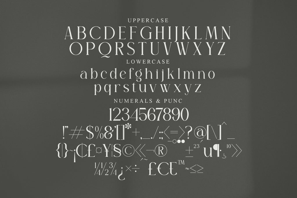 Sagire Typeface - So Fontsy