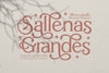 Sallenas Grandes|Elegant Serif Font - So Fontsy