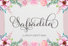 Salsadila Script - So Fontsy