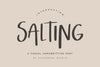Salting - Handwritten Font - So Fontsy