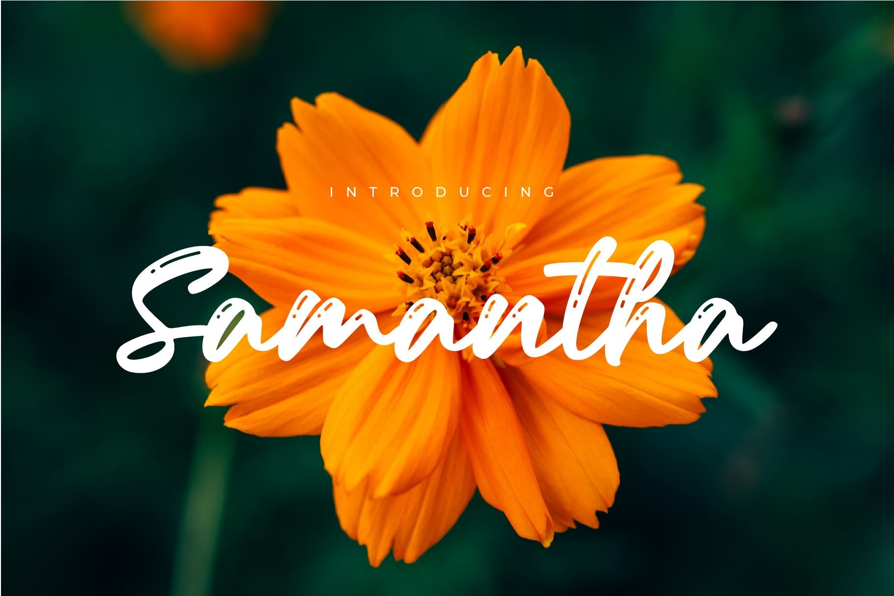 Samantha Script Font - So Fontsy