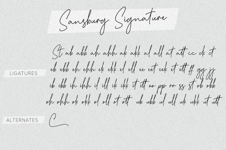 Sansburg - So Fontsy