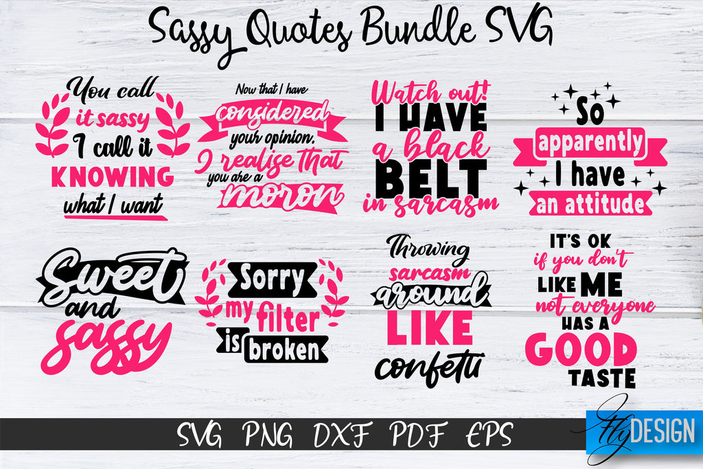 Sassy Quotes Bundle, Sassy SVG, Sarcastic Quotes SVG, vol.2 - So Fontsy