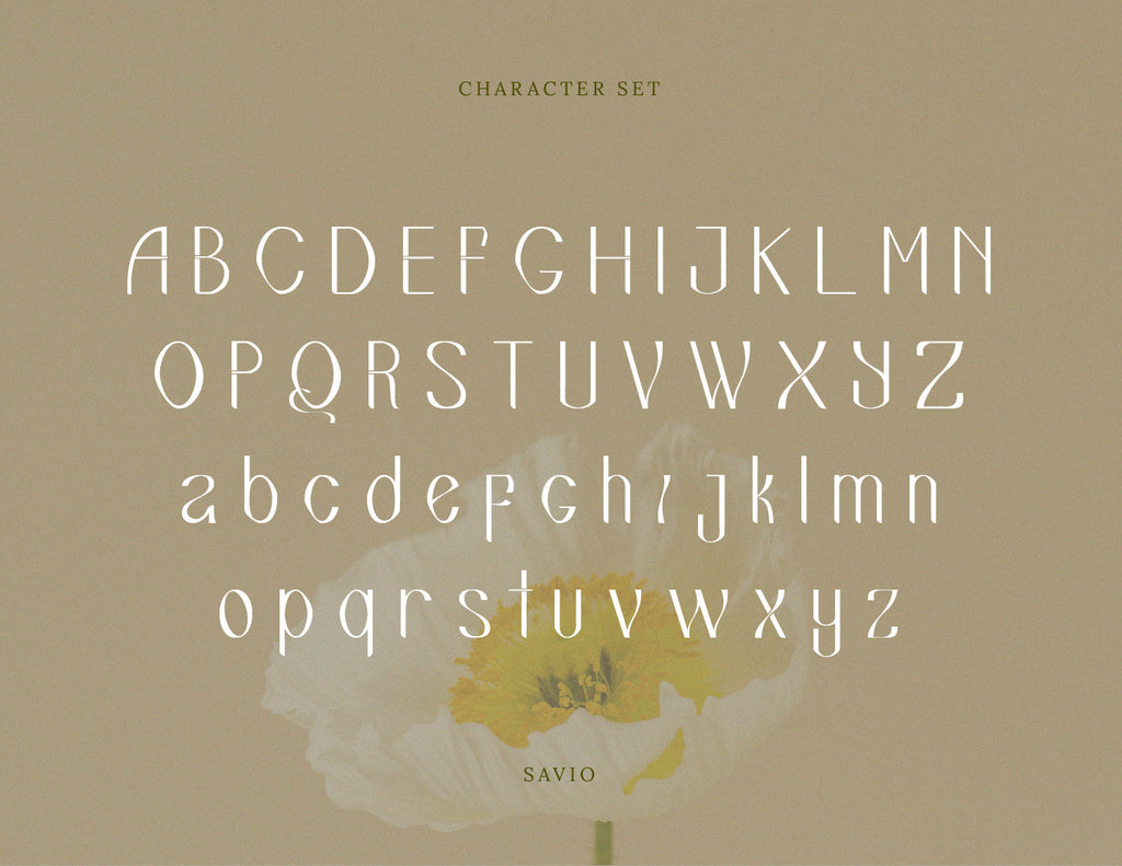 Savio Display Font - So Fontsy