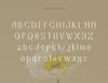 Savio Display Font - So Fontsy