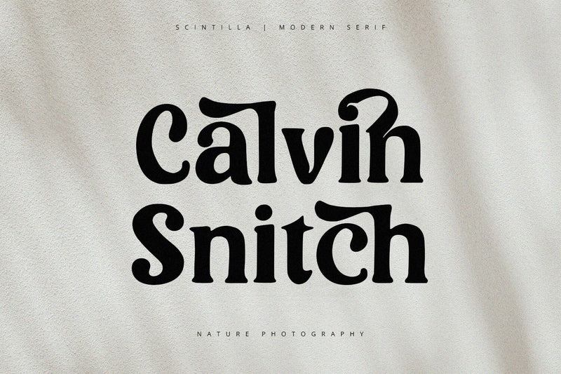 Scintilla - Modern Serif Font - So Fontsy