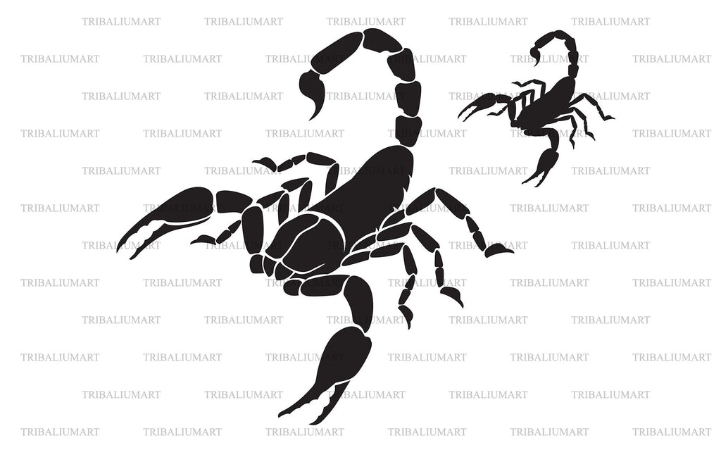 Scorpion. Cut files for Cricut. Clip Art silhouette (eps, svg, pdf, png ...