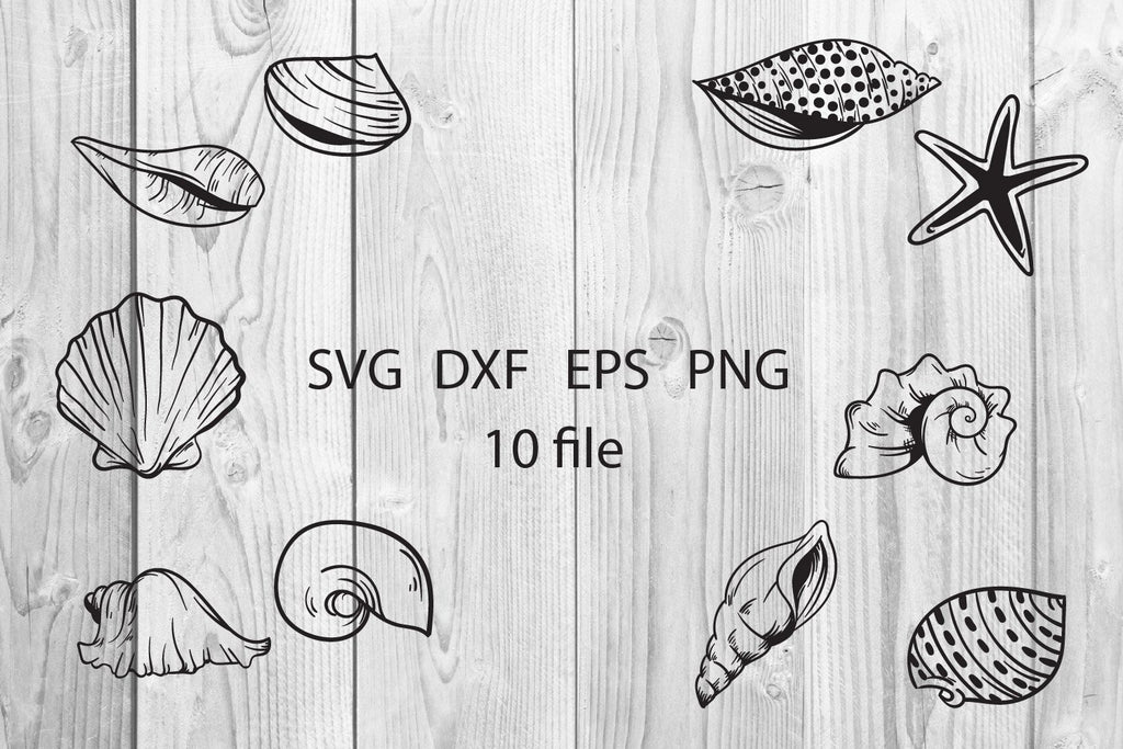 Seashell hand drawn eps, dxf, png, svg Cut File Svg - So Fontsy