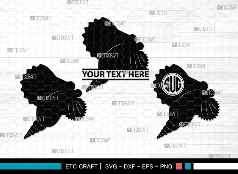 Seashell Monogram, Seashell Silhouette, Seashell SVG, Shell Svg ...