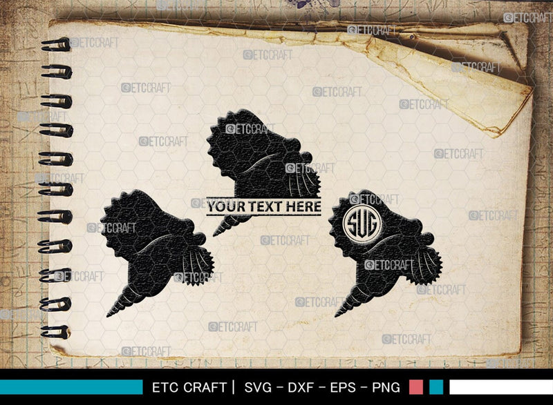 Seashell Monogram, Seashell Silhouette, Seashell SVG, Shell Svg ...