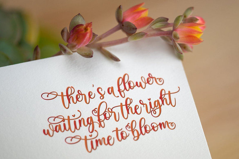 Sefilya | Beauty Script - So Fontsy