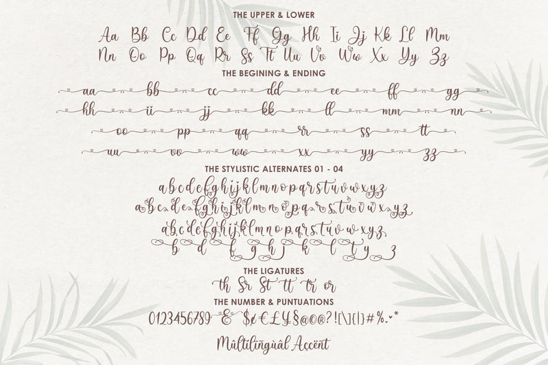 Sefilya | Beauty Script - So Fontsy