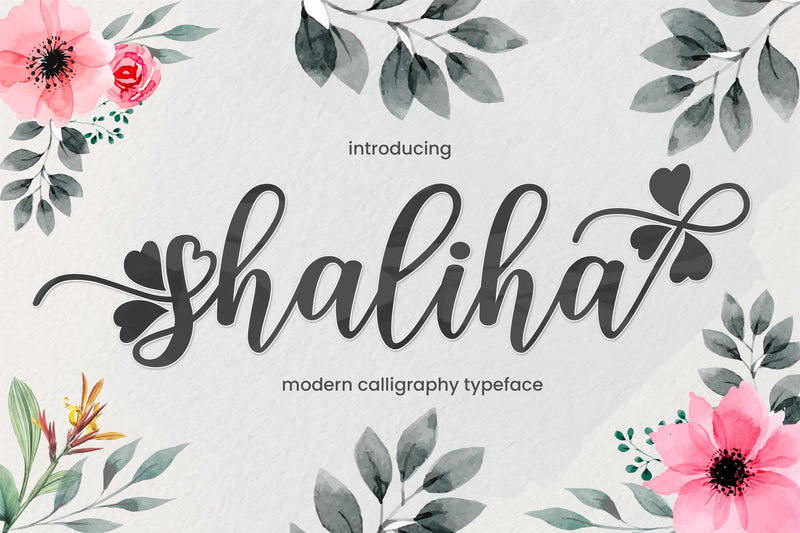 Shaliha Script Font - So Fontsy