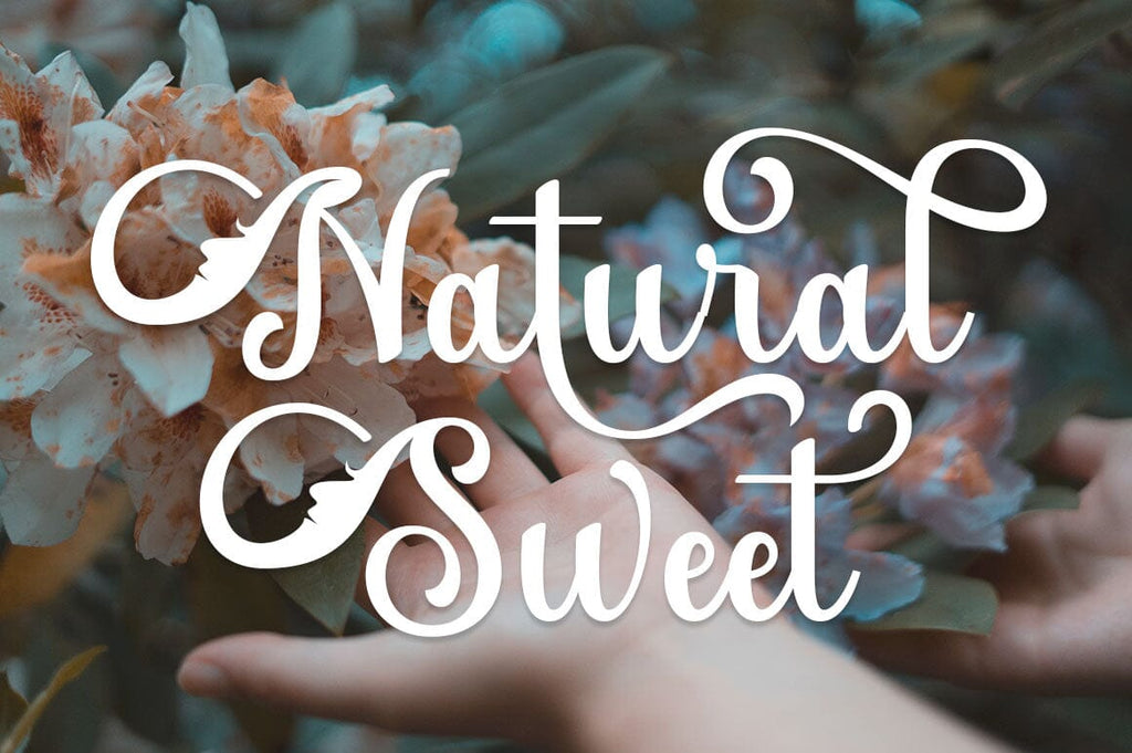 Shanethy Script - So Fontsy