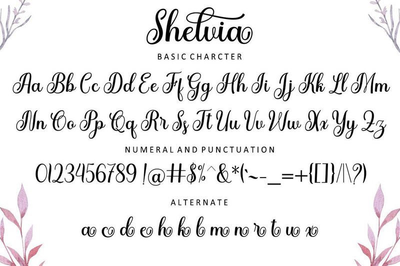 Shelvia Script - So Fontsy