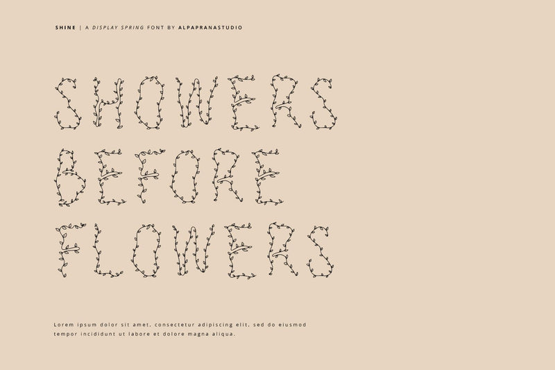 Shine - Decorative Display Font - So Fontsy