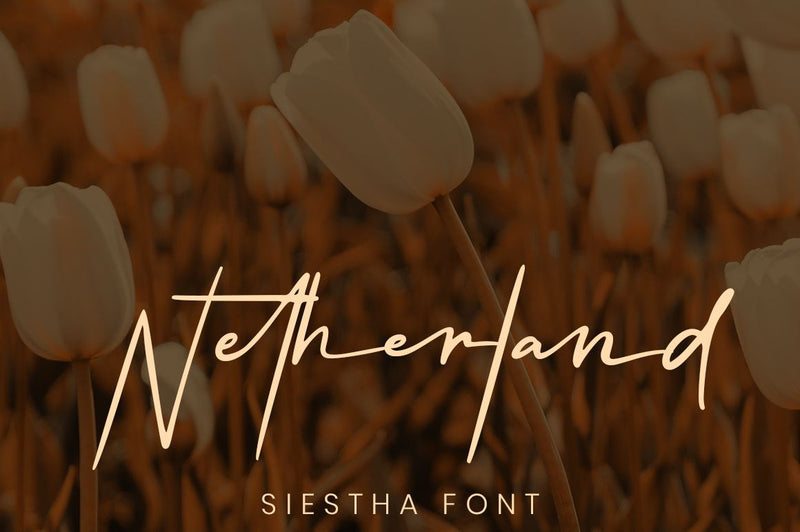 Siestha - So Fontsy