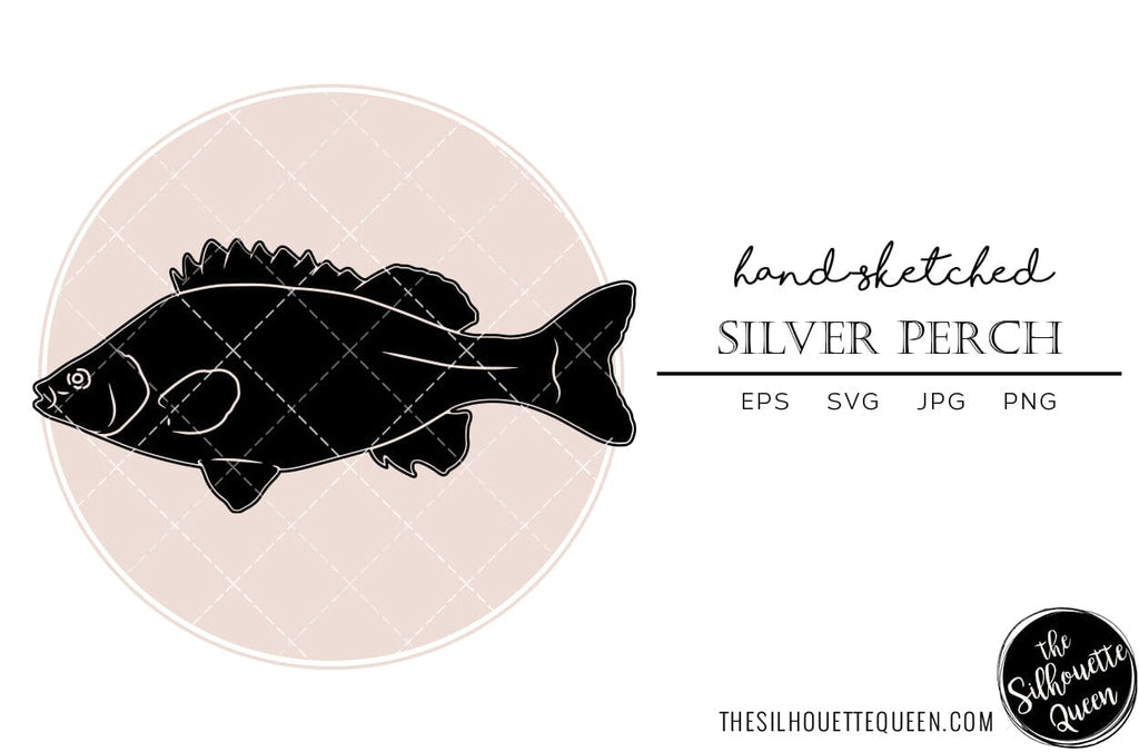 Silver Perch Hand sketched, hand drawn vector clipart - So Fontsy